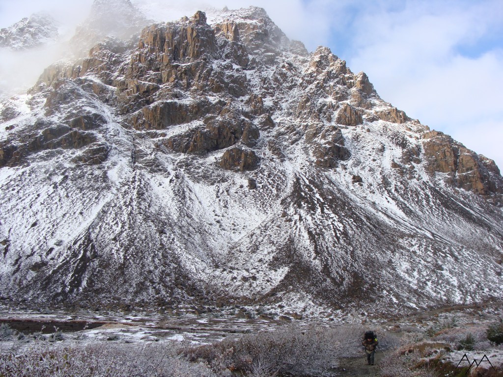 The Chugach Mountains – ALASKA WILDLIFE ADVENTURES
