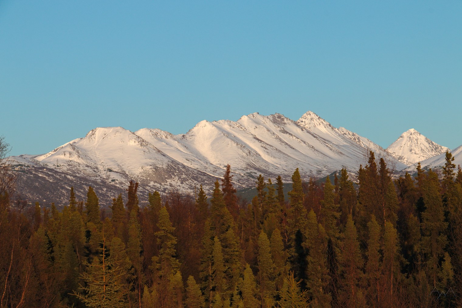 The Chugach Mountains – ALASKA WILDLIFE ADVENTURES